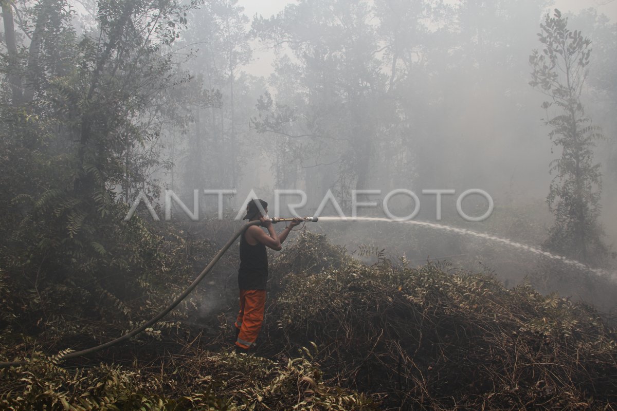 Upaya pemadaman karhutla di Kalimantan Tengah | ANTARA Foto