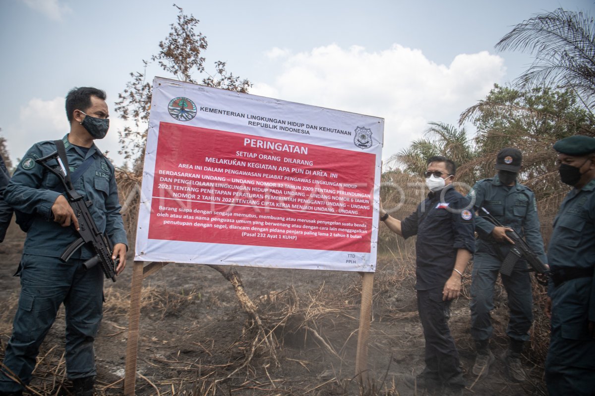 Gakkum KLHK segel lahan milik sampoerna agro dan tempirai | ANTARA Foto