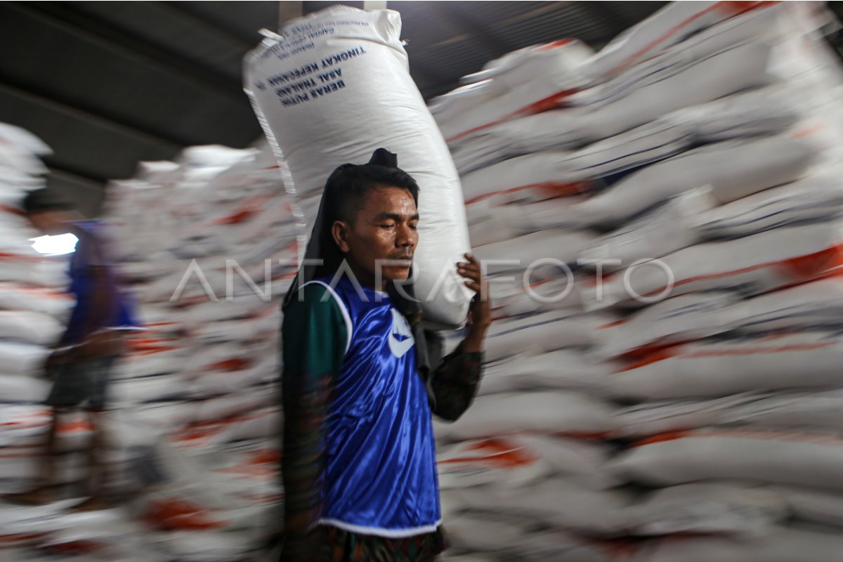 Stok beras nasional 2023 | ANTARA Foto