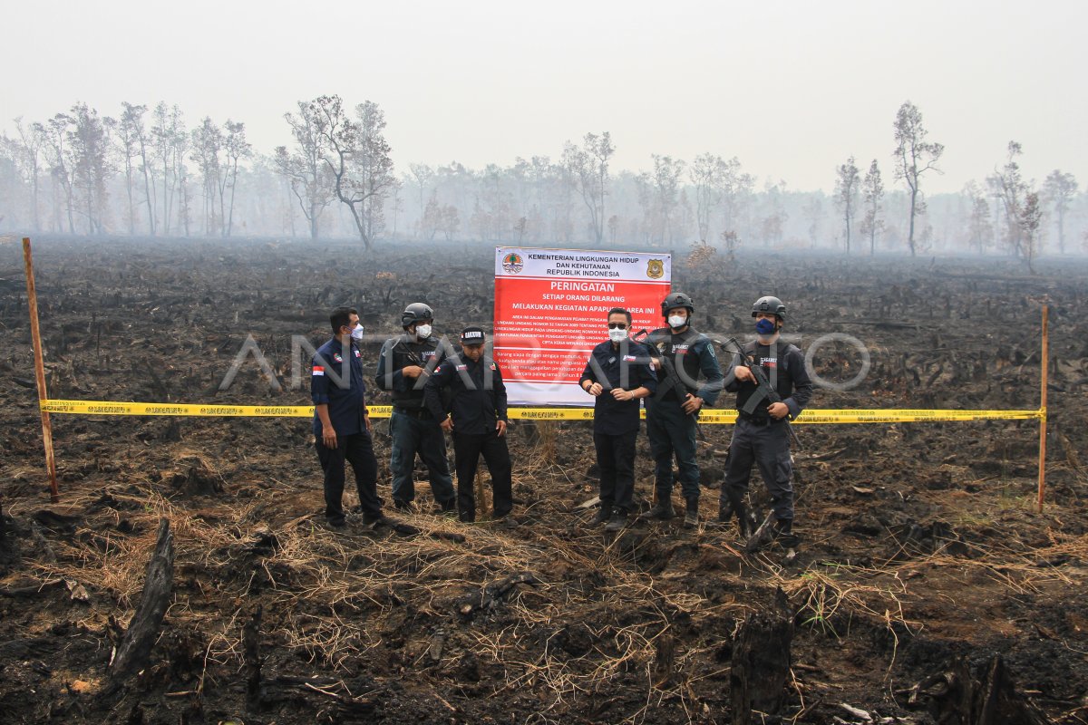 Gakkum KLHK segel lahan | ANTARA Foto