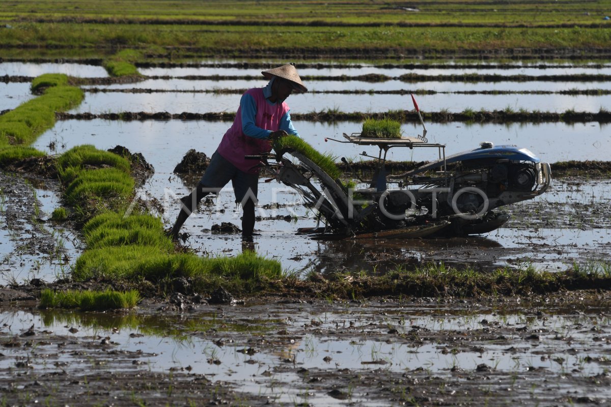 Modern Agricultural Transformation Antara Foto