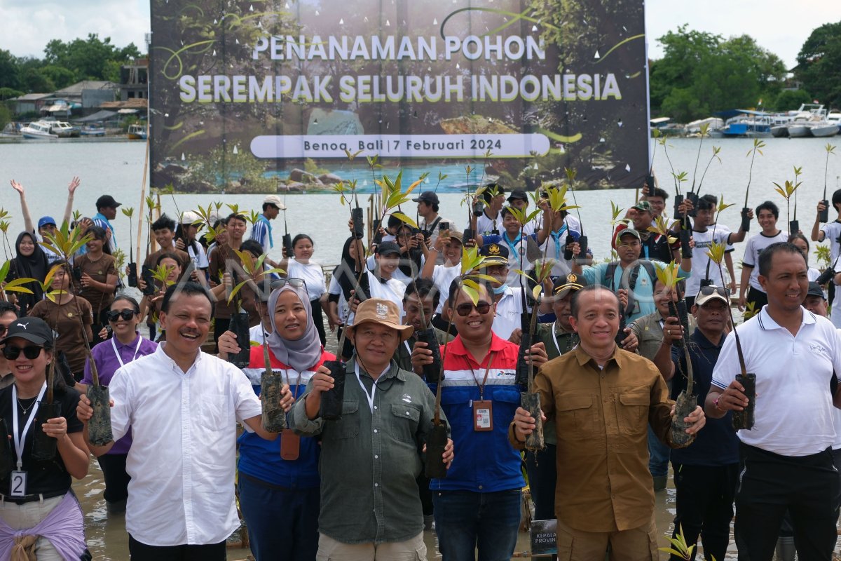 Penanaman pohon serempak di Bali | ANTARA Foto