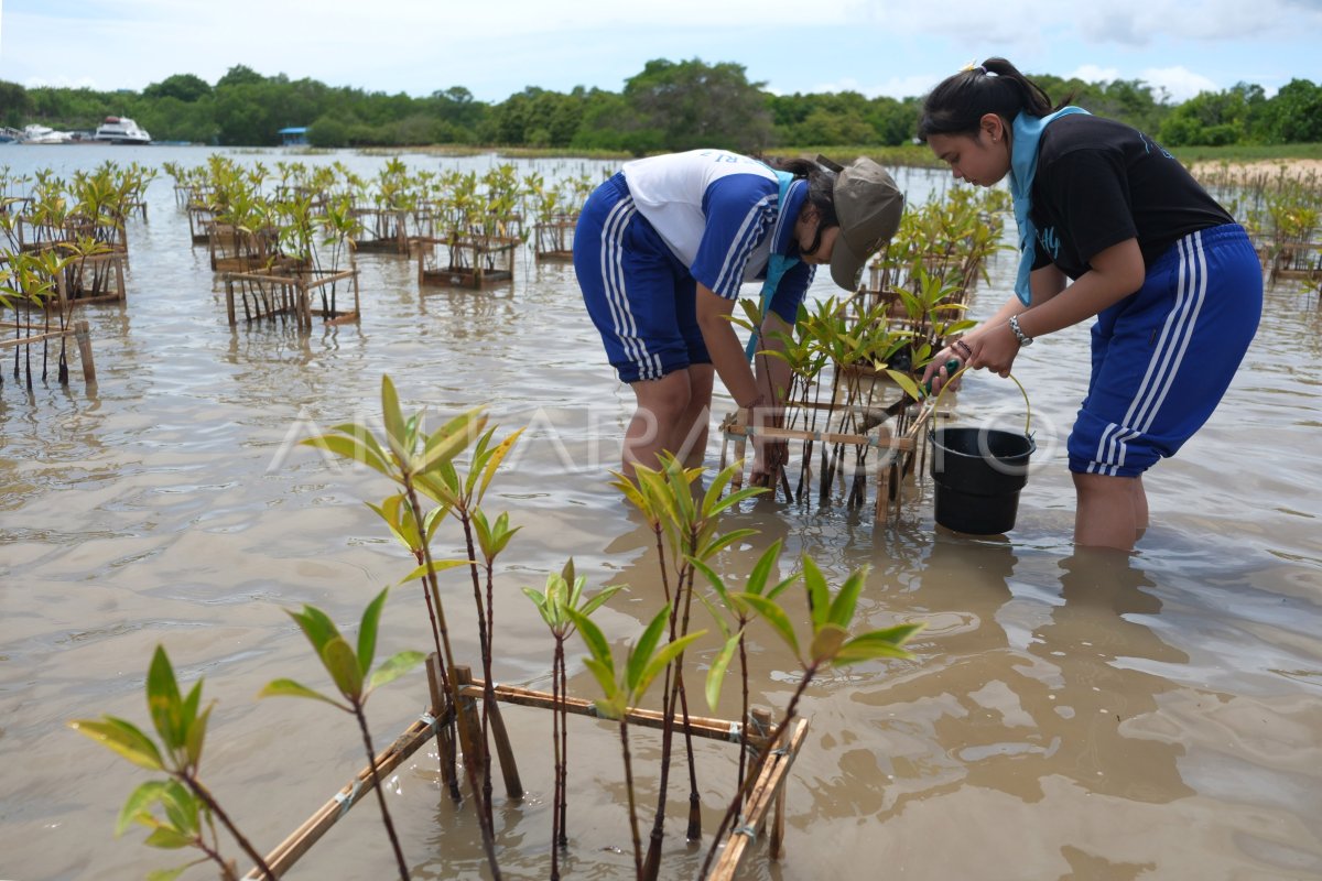 Penanaman pohon serempak di Bali | ANTARA Foto