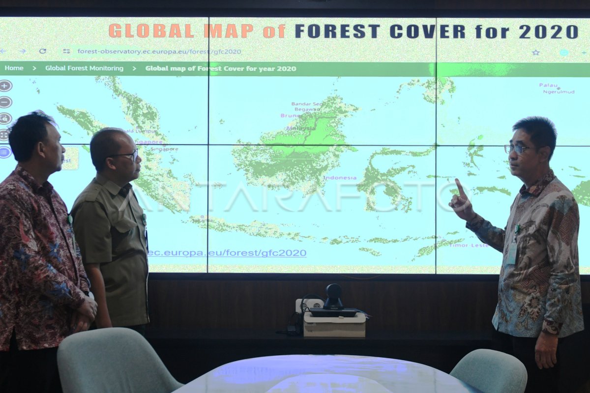 Kesiapan Indonesia Hadapi Regulasi Deforestasi Uni Eropa | ANTARA Foto Kesiapan Indonesia Hadapi Regulasi Deforestasi Uni Eropa | ANTARA Foto