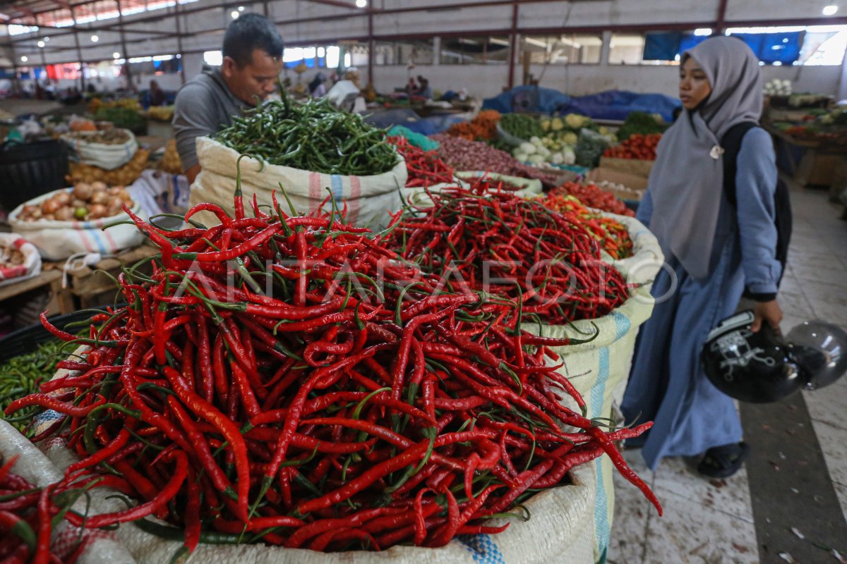 Harga cabai merah naik jelang Idul Adha di Aceh | ANTARA Foto