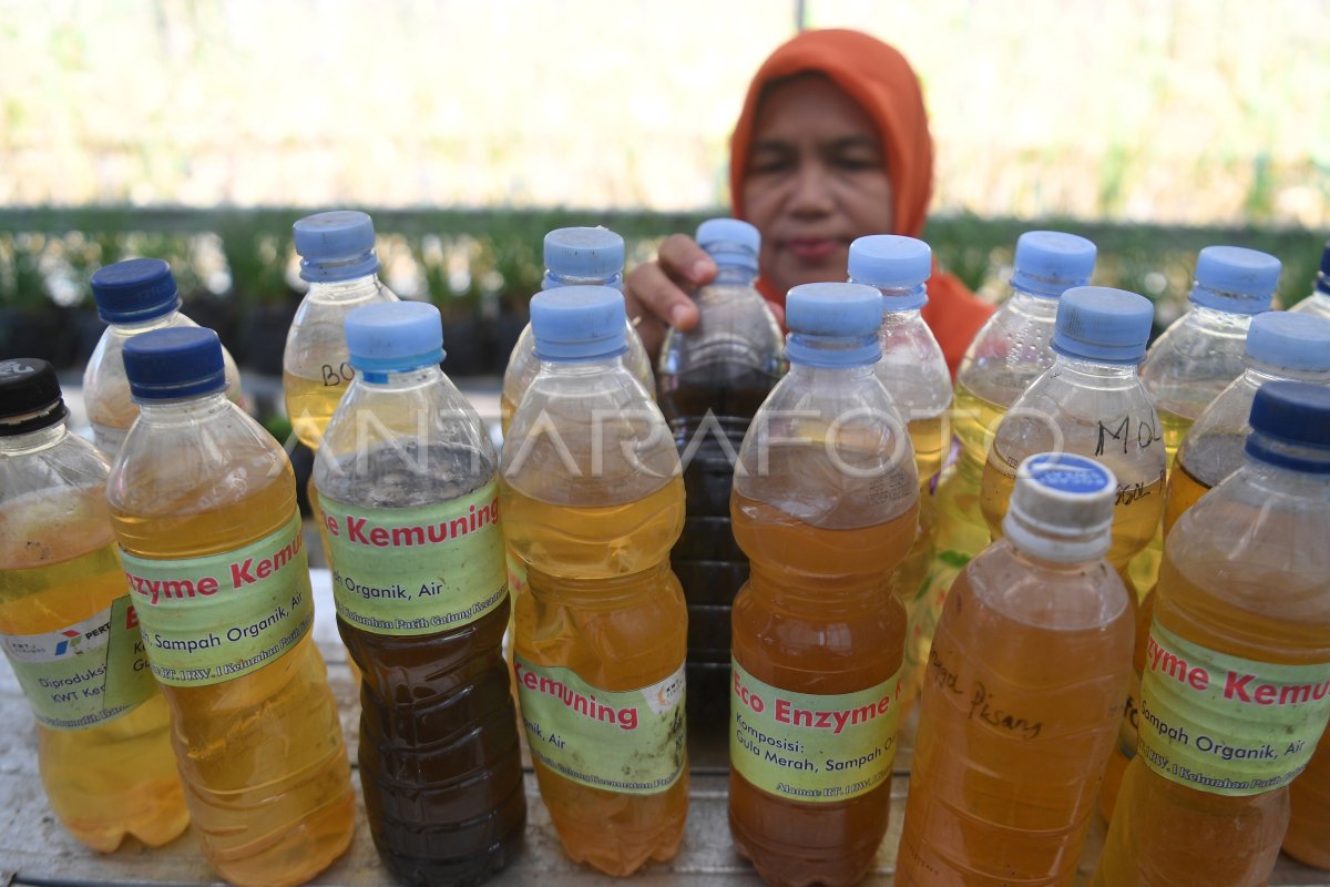 PEP Prabumulih Field dukung gerakan ketahanan pangan | ANTARA Foto PEP Prabumulih Field dukung gerakan ketahanan pangan | ANTARA Foto