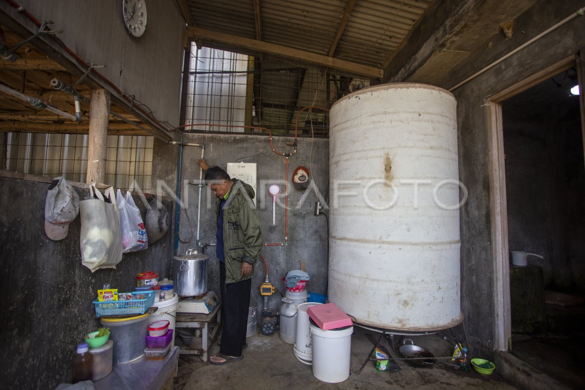 Pemanfaatan limbah kotoran sapi jadi energi biogas | ANTARA Foto Pemanfaatan limbah kotoran sapi jadi energi biogas | ANTARA Foto