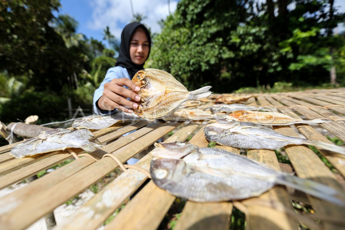 Desa wisata Kollo Soha Tomia | ANTARA Foto