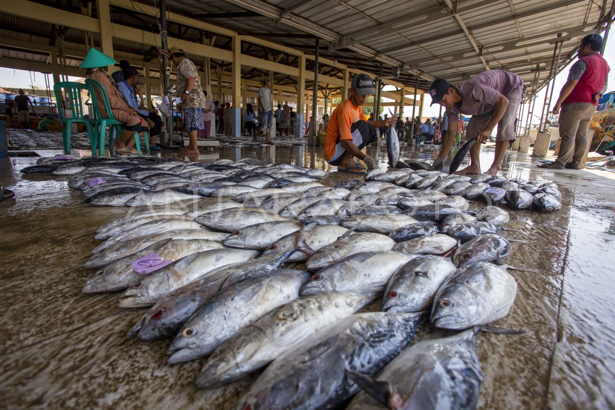 Produksi perikanan tangkap triwulan II 2024 | ANTARA Foto