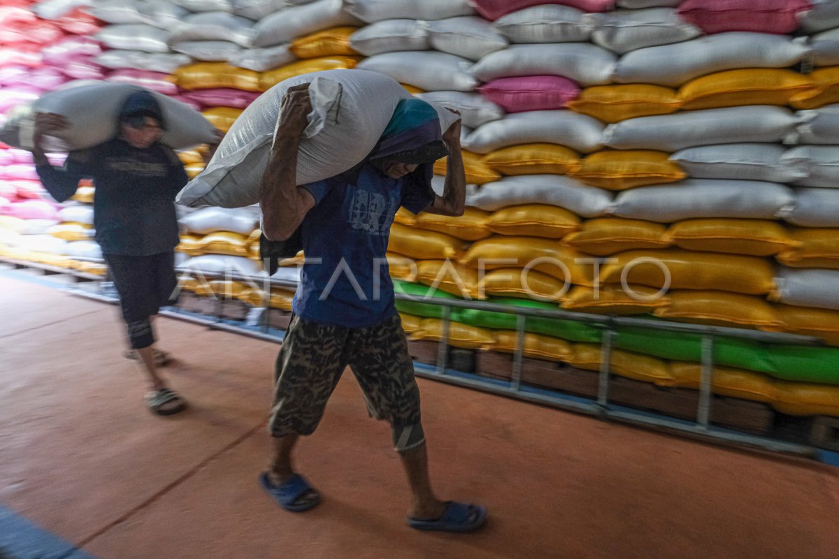 Stok beras Sultra mencukupi hingga awal 2025 | ANTARA Foto