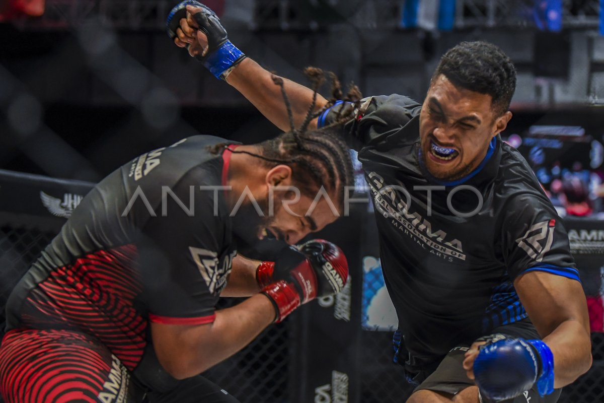Babak final Men -120,2Kg GAMMA MMA World Championships | ANTARA Foto