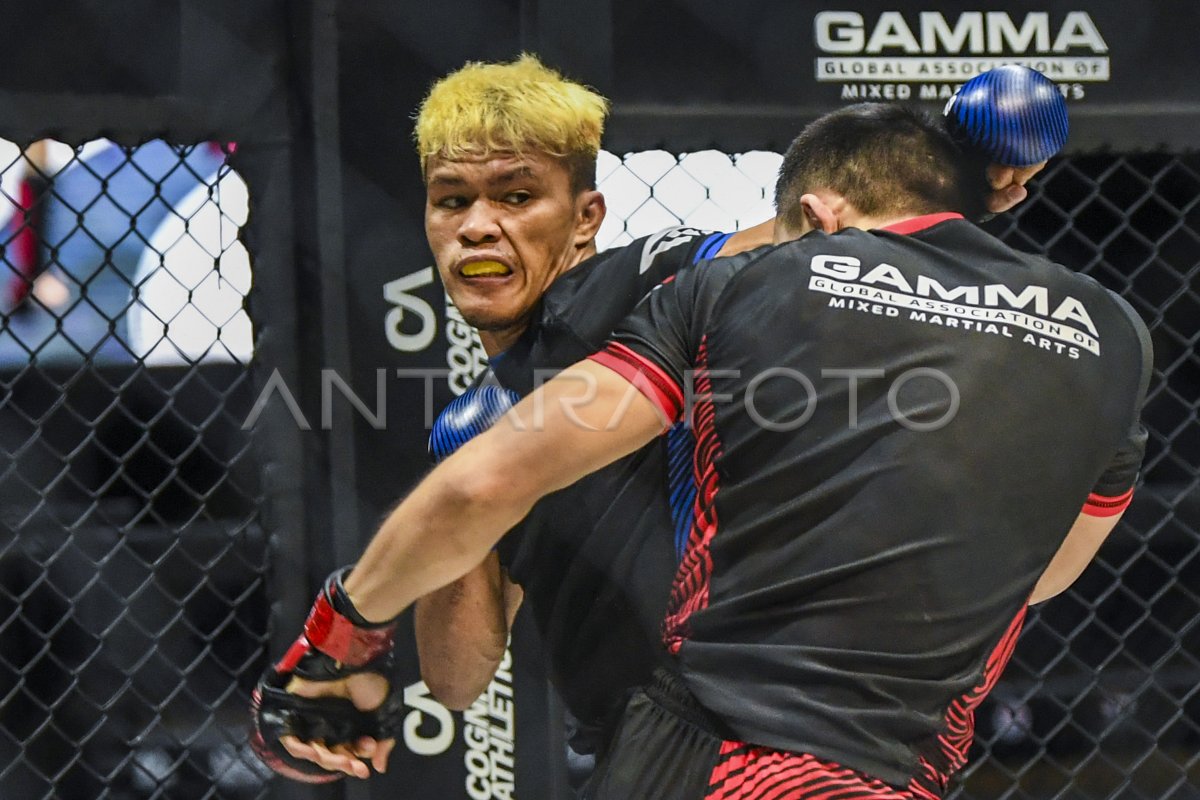 Babak final Men -65,8Kg Striking MMA dalam GAMMA Championships | ANTARA Foto
