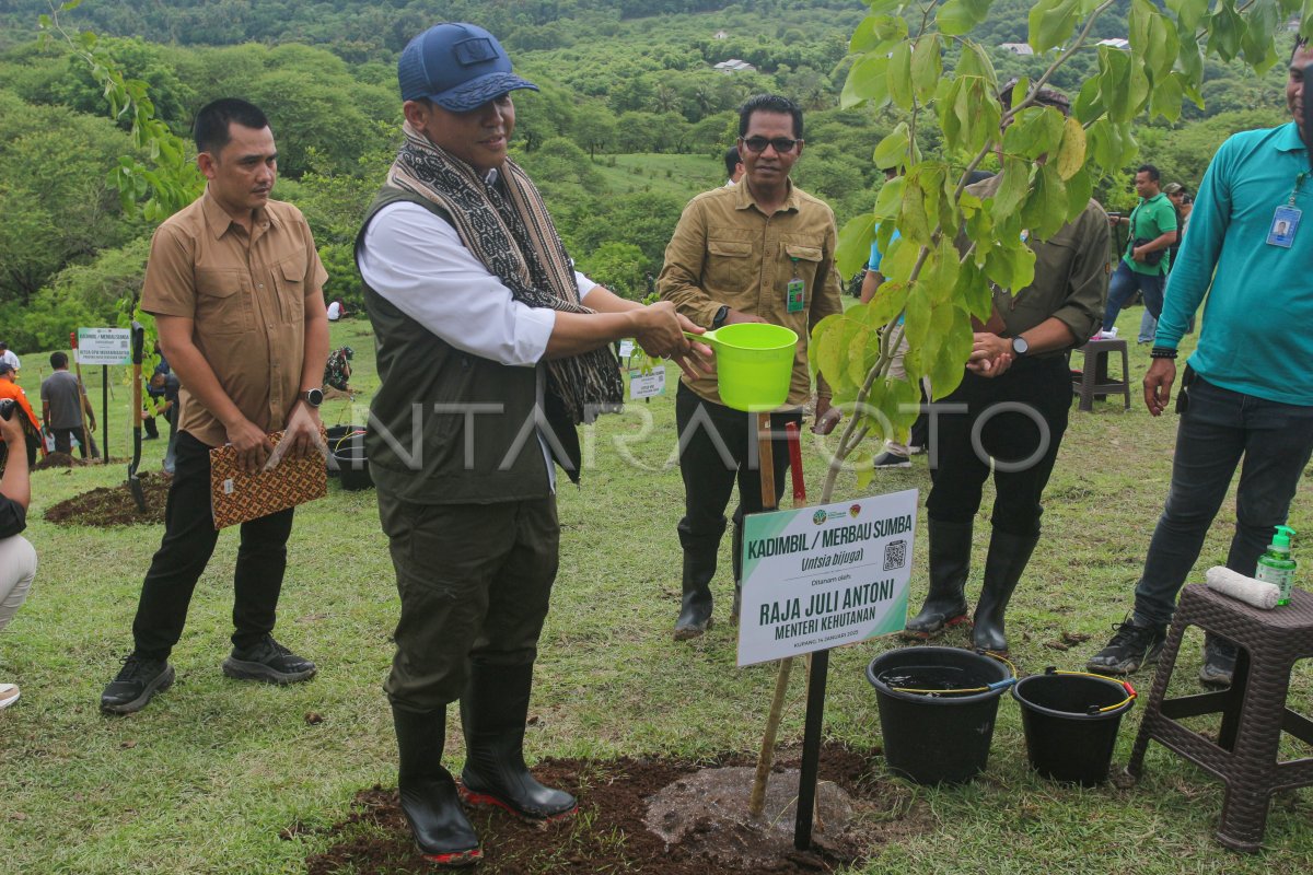 Aksi penanaman pohon serentak | ANTARA Foto