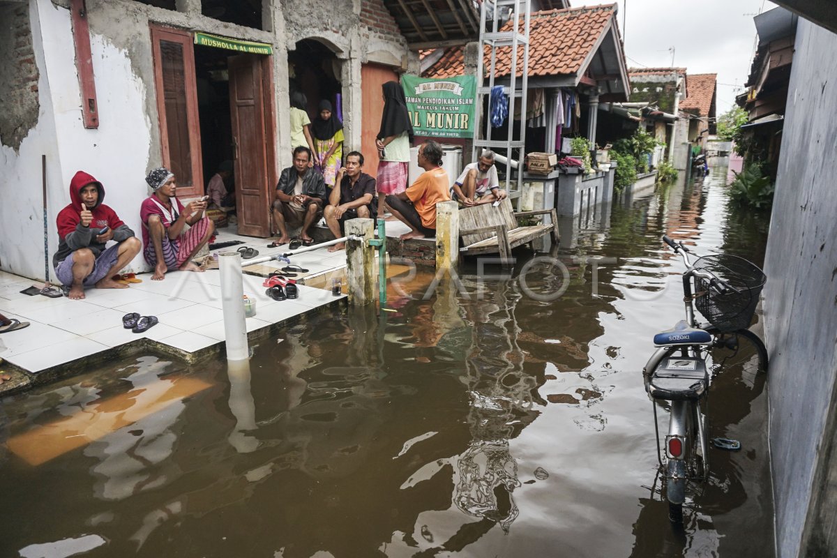 Warga mengungsi terdampak banjir Kota Pekalongan | ANTARA Foto