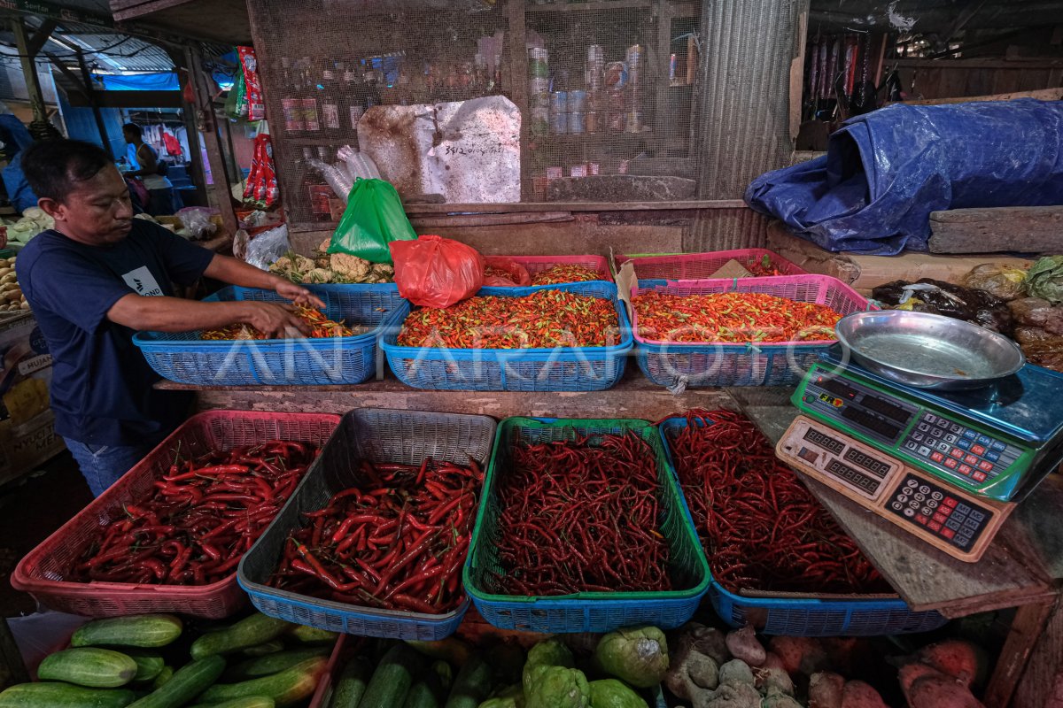 Kenaikan harga cabai jelang Ramadhan di Kendari | ANTARA Foto