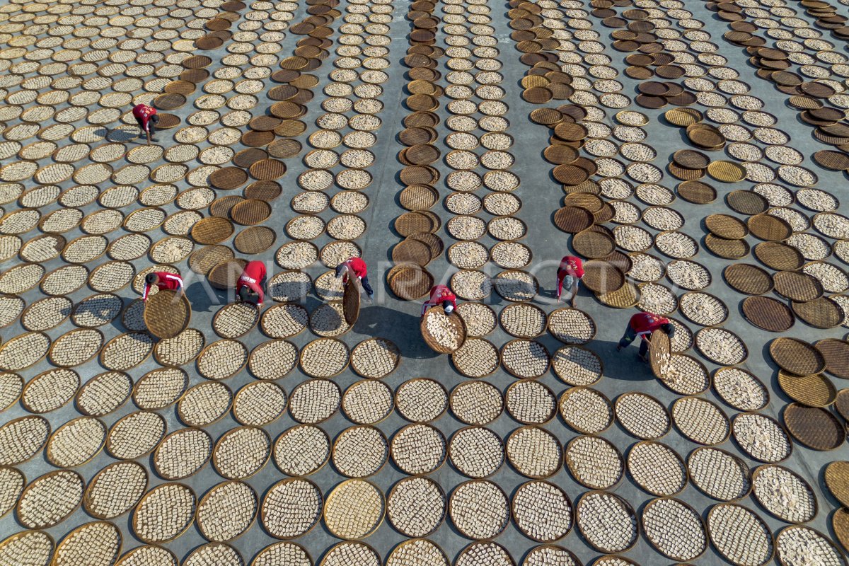 Realisasi Penyaluran KUR per April 2025 | ANTARA Foto