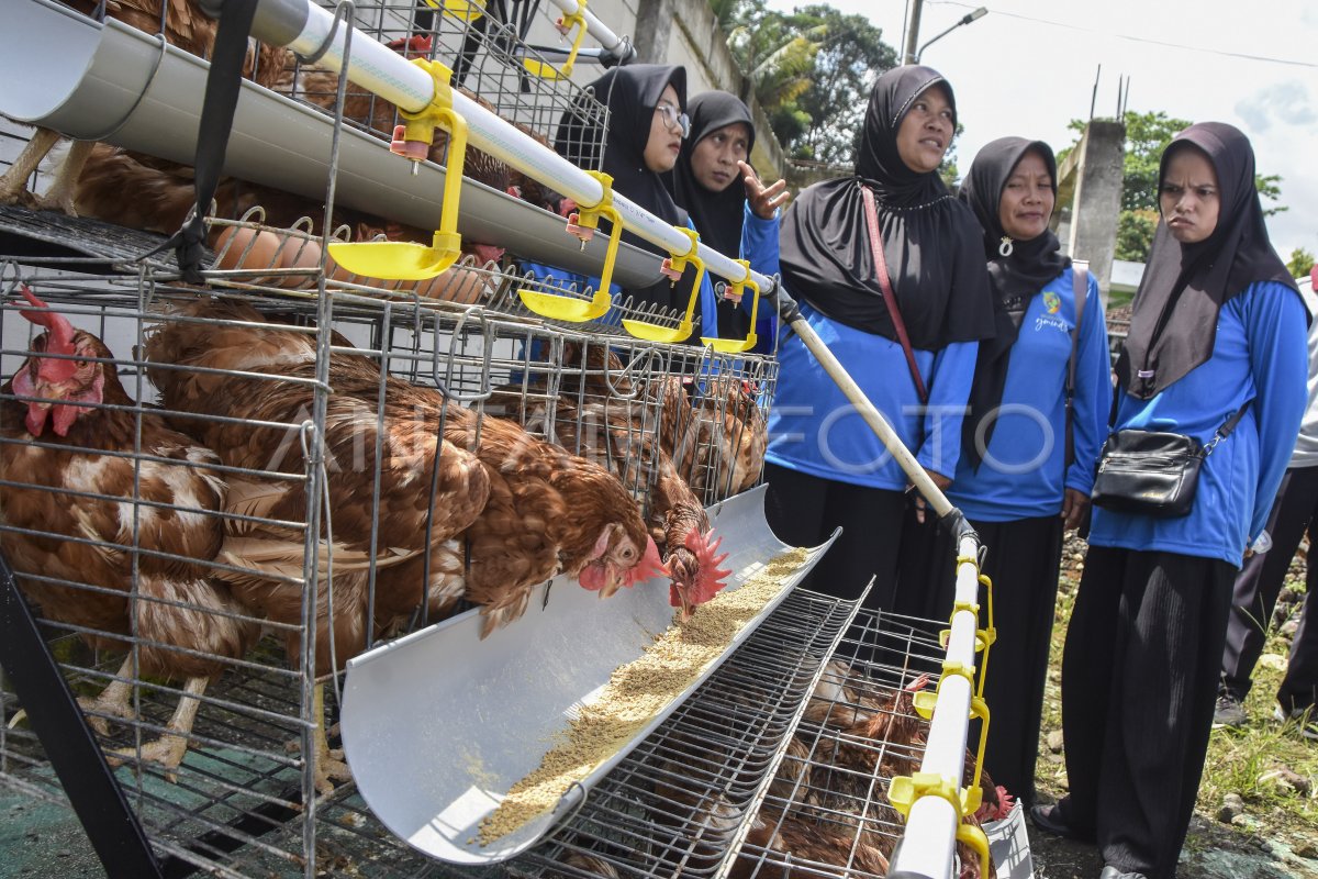 Pemberdayaan PKH sektor pertanian dan peternakan | ANTARA Foto