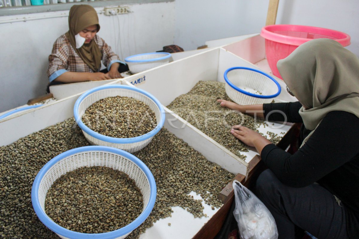 Ekspor kopi Indonesia meningkat pada tahun 2024 | ANTARA Foto