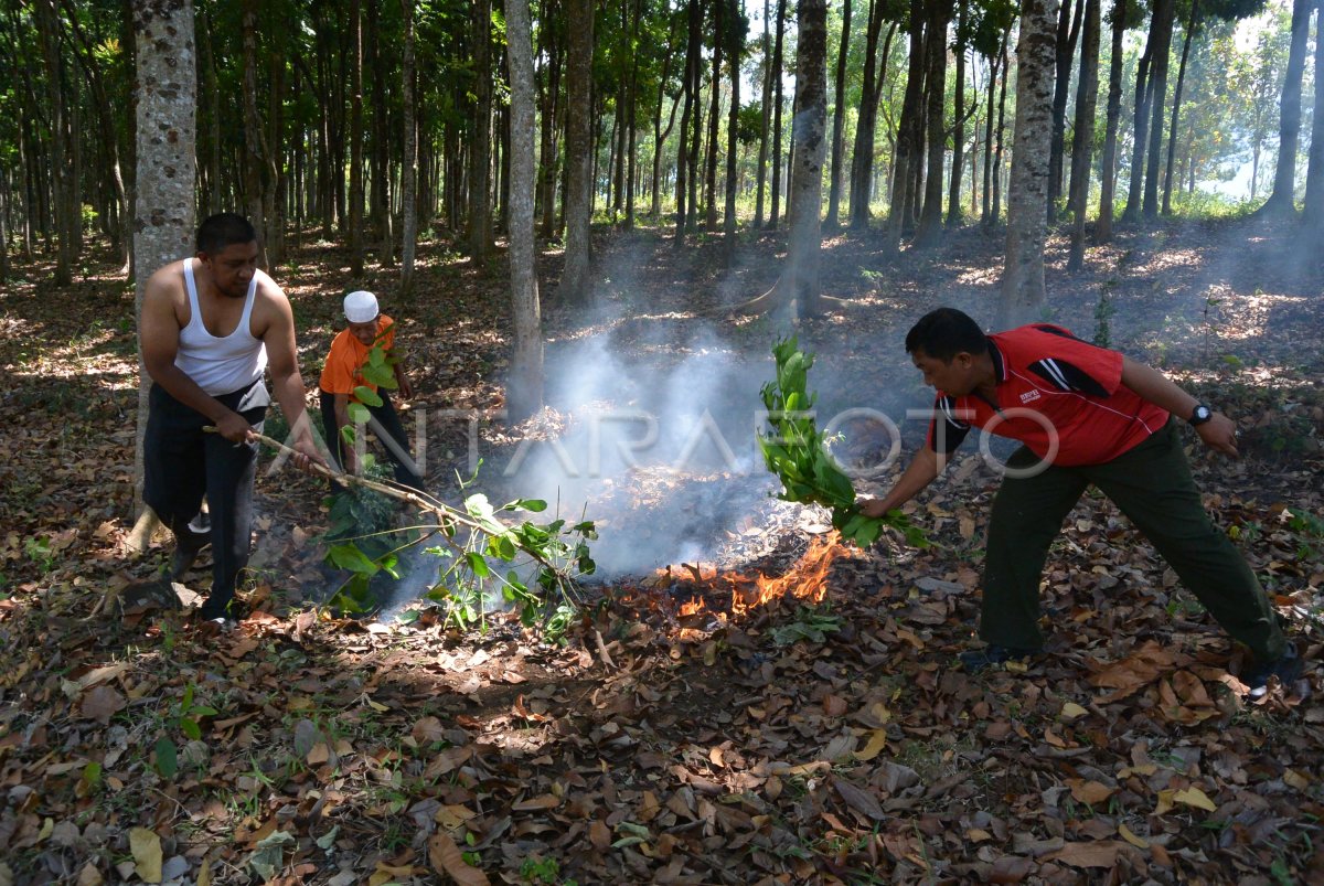 KEBAKARAN HUTAN | ANTARA Foto