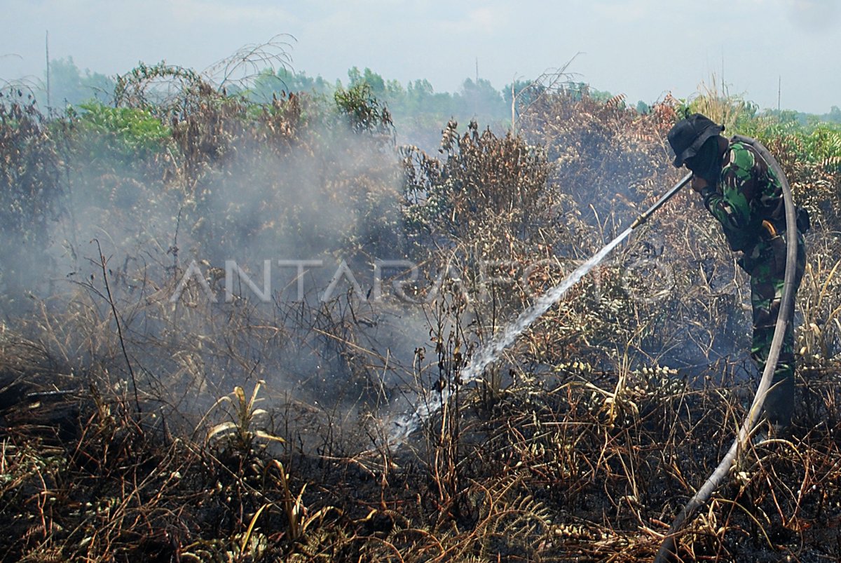 UPAYA PEMADAMAN KEBAKARAN LAHAN | ANTARA Foto