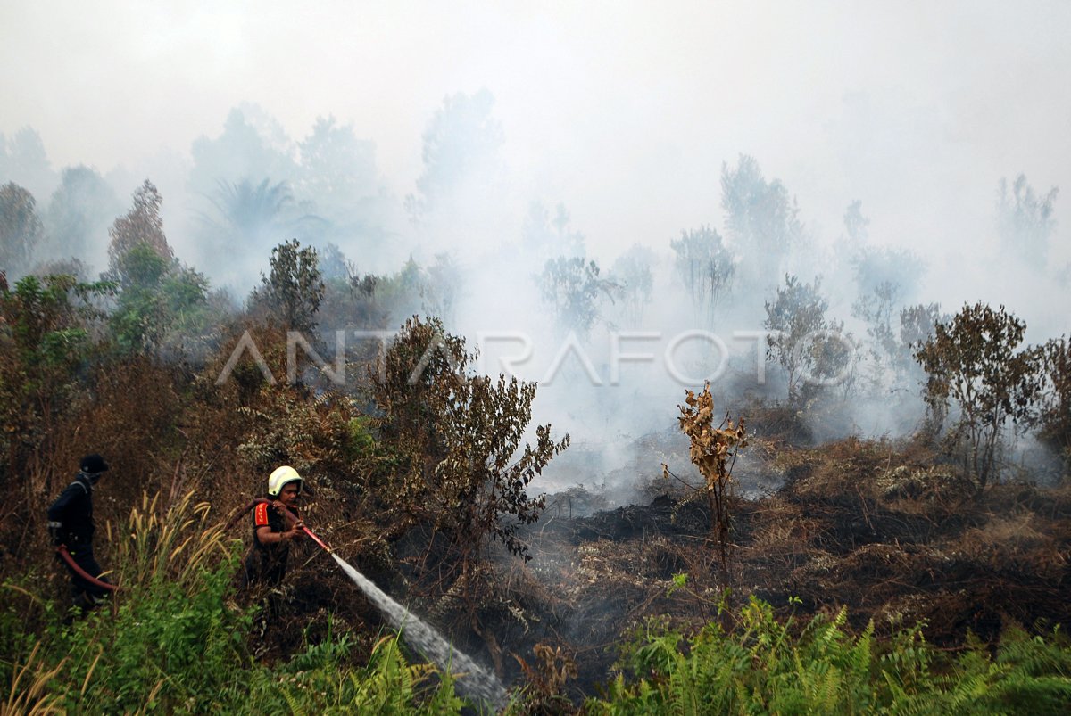 PEMADAMAN KEBAKARAN LAHAN | ANTARA Foto