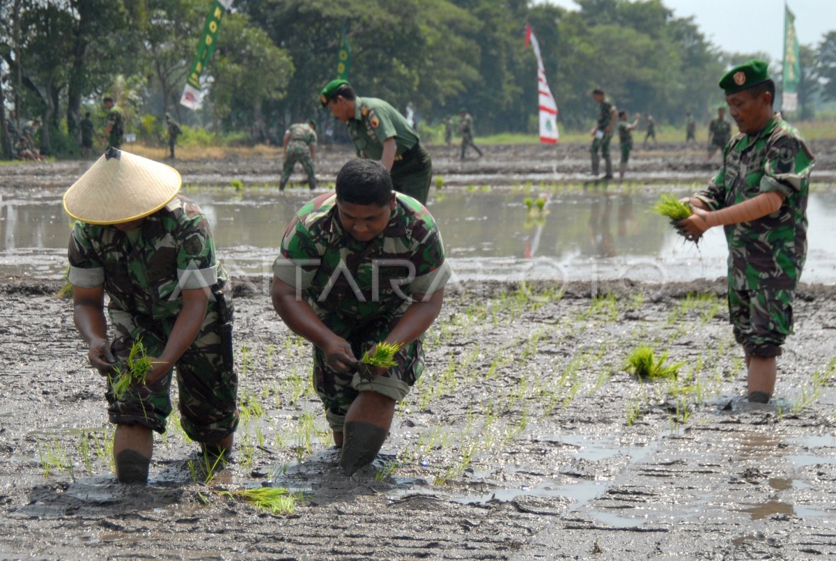 GERAKAN TANAM PADI | ANTARA Foto