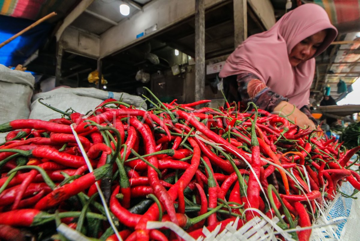 HARGA CABAI MERAH MELONJAK | ANTARA Foto