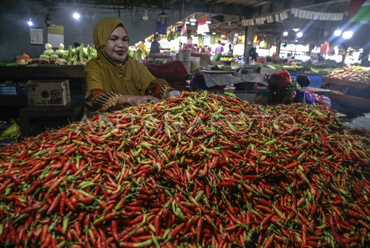 Harga cabai rawit di Ternate tembus Rp100 ribu per kilogram | ANTARA Foto