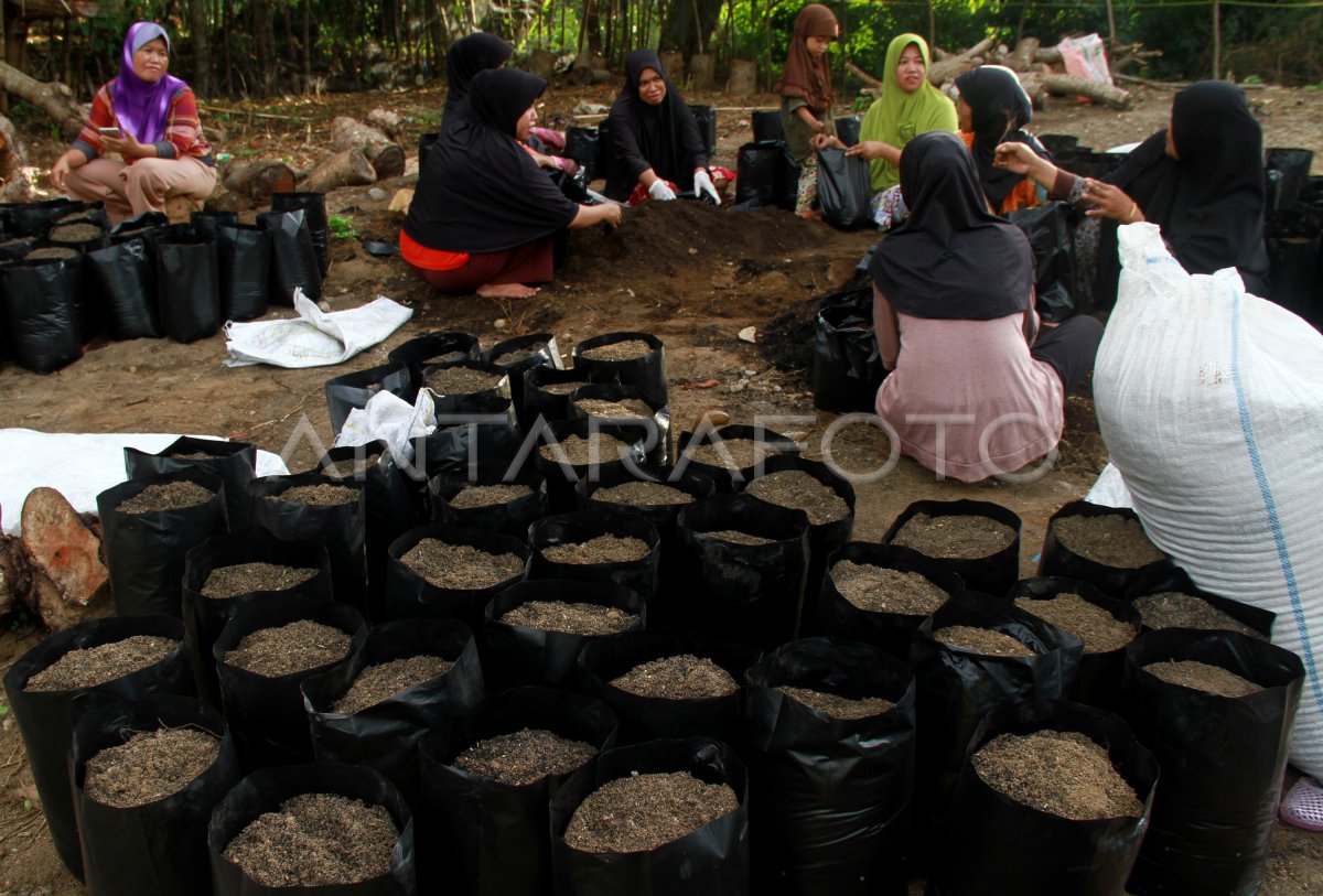 PEMBIBITAN TANAMAN KELOMPOK BUMDES | ANTARA Foto