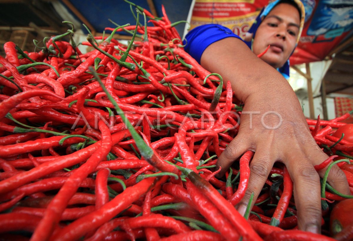 HARGA CABAI MERAH NAIK | ANTARA Foto