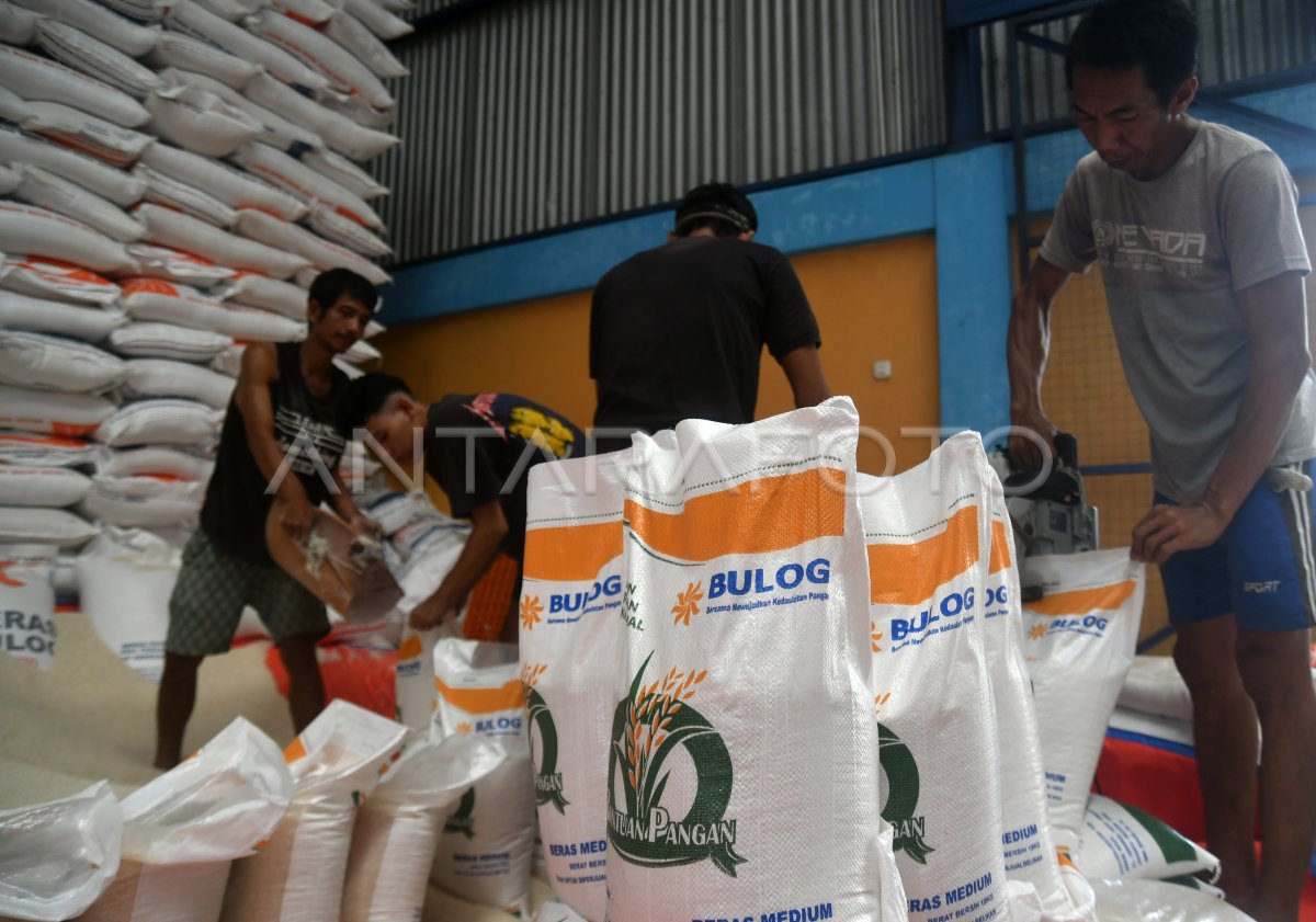 Stok beras di gudang Bulog Dramaga Bogor | ANTARA Foto