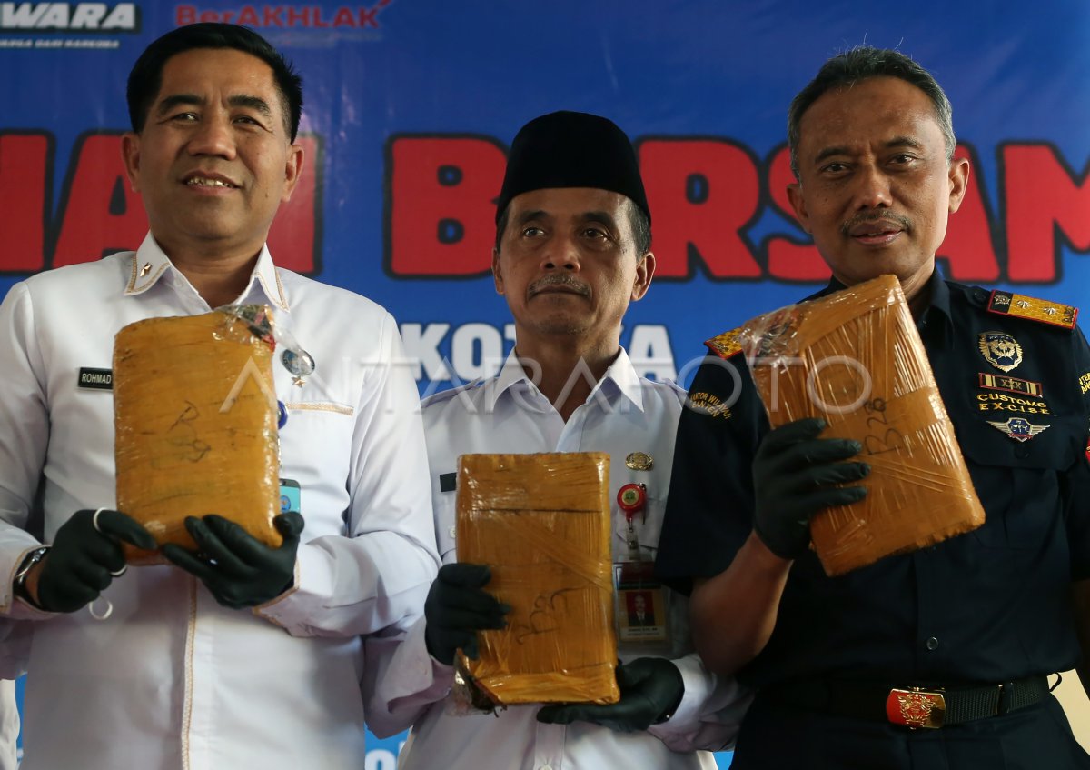 Bea Cukai Banten musnahkan barang bukti ganja | ANTARA Foto