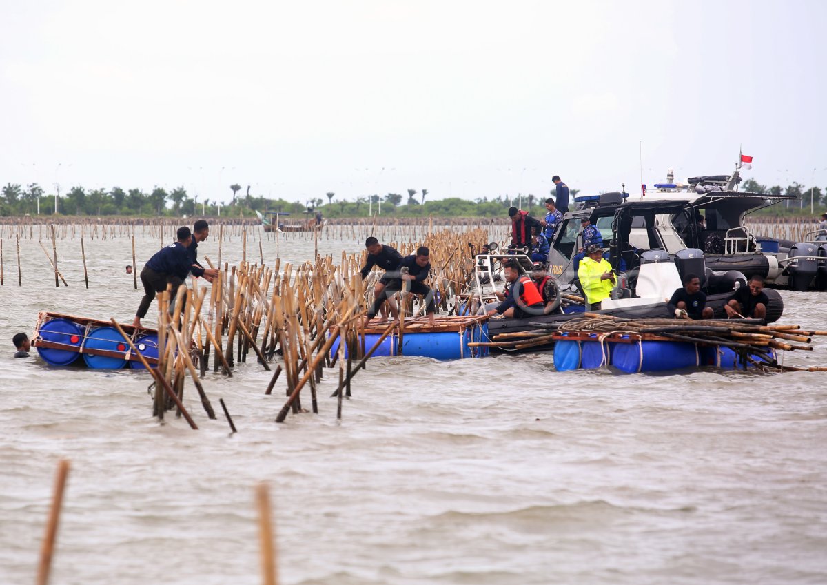 TNI AL dan KKP kembali bongkar pagar laut di Tangerang | ANTARA Foto