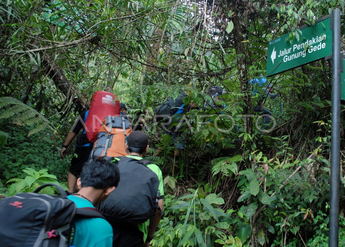 PENDAKIAN GUNUNG GEDE PANGRANGO DITUTUP | ANTARA Foto