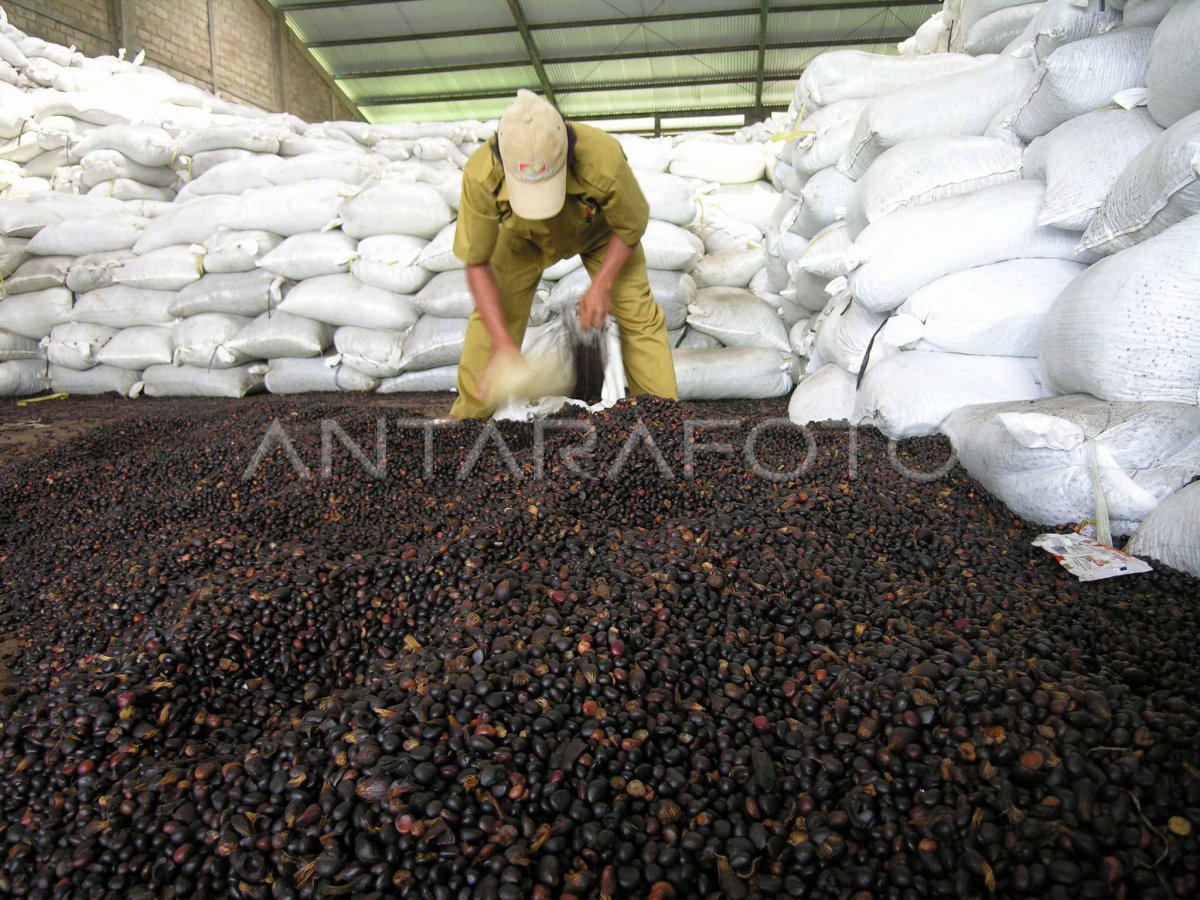 KERNEL | ANTARA Foto