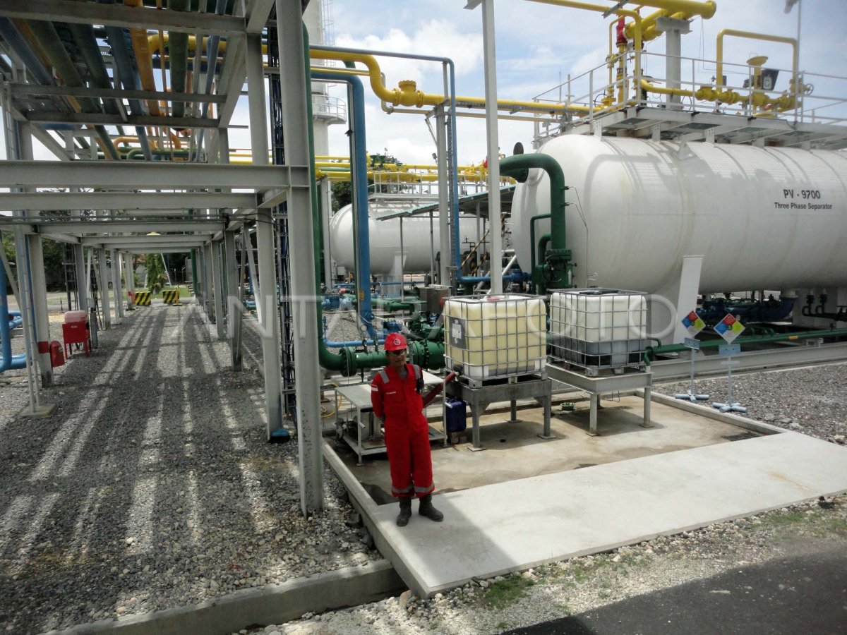 PUSAT PENGOLAHAN MINYAK | ANTARA Foto