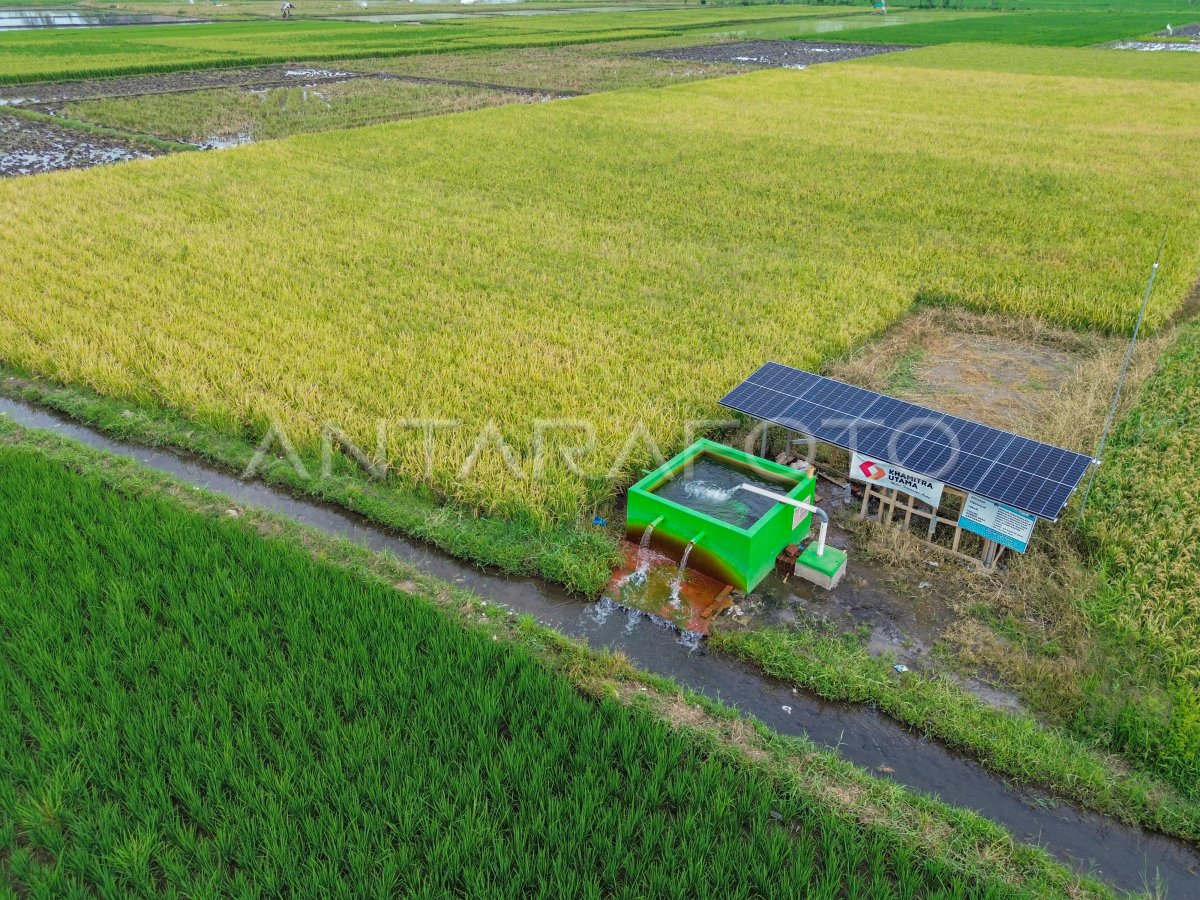 Pompa air tenaga surya untuk tingkatkan produksi pertanian | ANTARA Foto Pompa air tenaga surya untuk tingkatkan produksi pertanian | ANTARA Foto