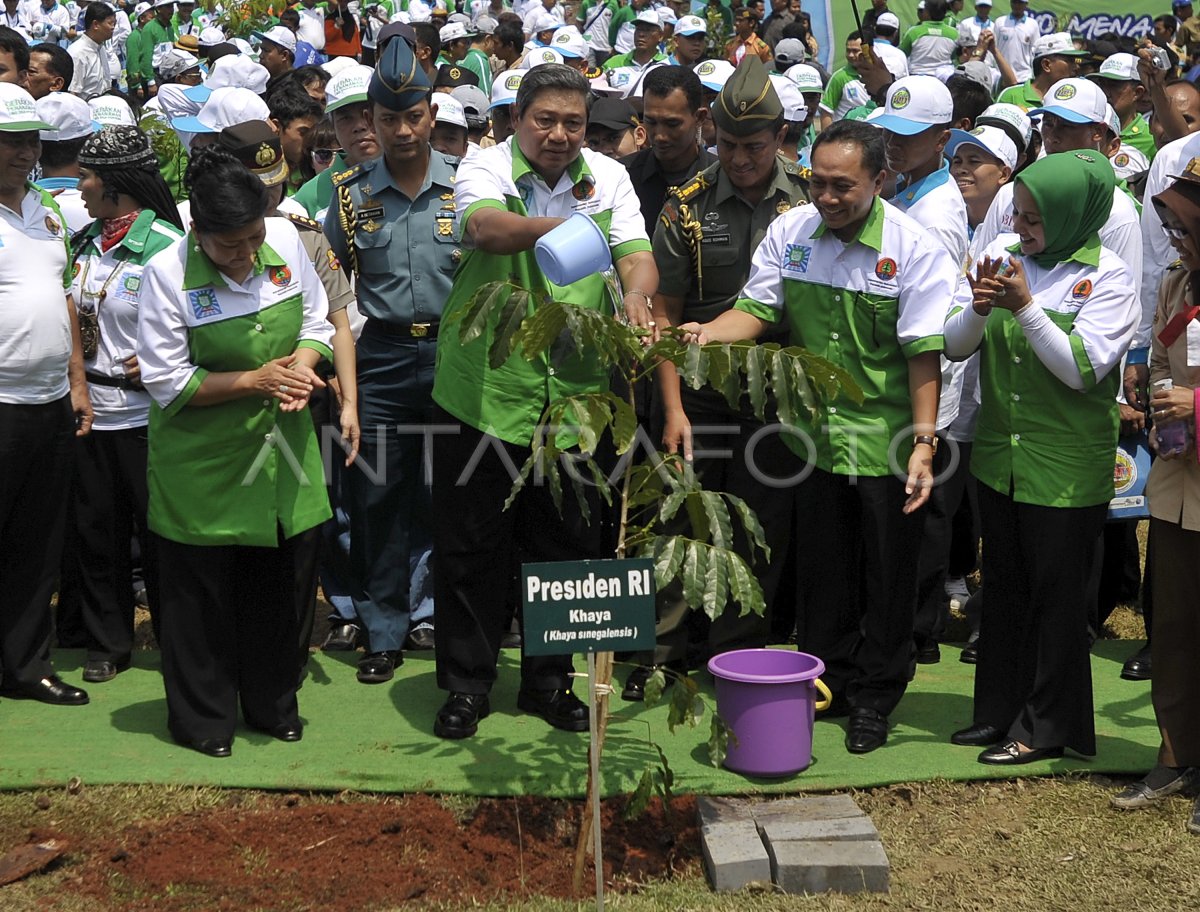 GERAKAN TANAM POHON | ANTARA Foto