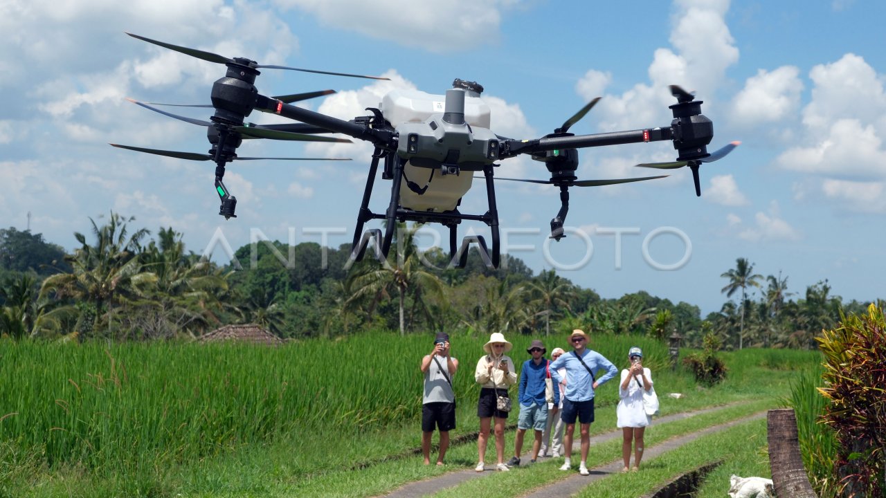 Penyedia foto jurnalistik dan berita terbesar Indonesia | ANTARA Foto
