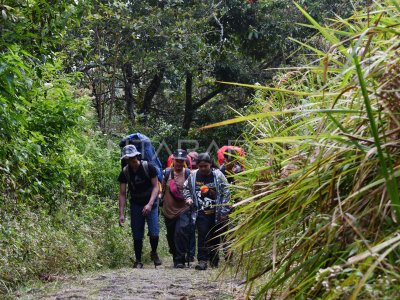 JALUR PENDAKIAN GUNUNG LAWU | ANTARA Foto