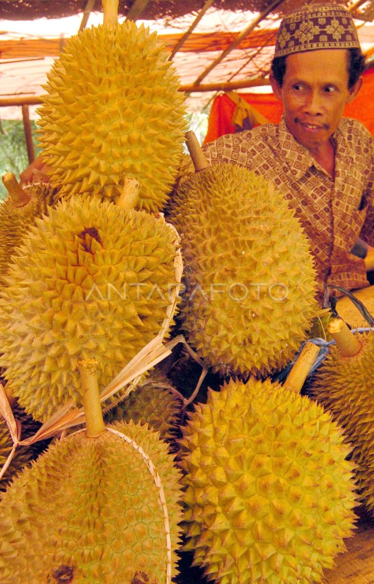 DURIAN LOKAL | ANTARA Foto