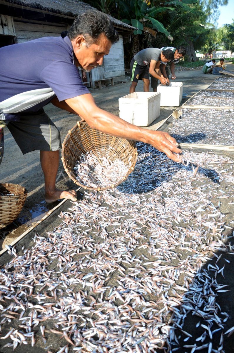 PERMINTAAN IKAN MERAH MENINGKAT | ANTARA Foto