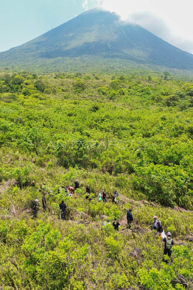 Penanaman bibit pohon di lereng Gunung Lemongan | ANTARA Foto