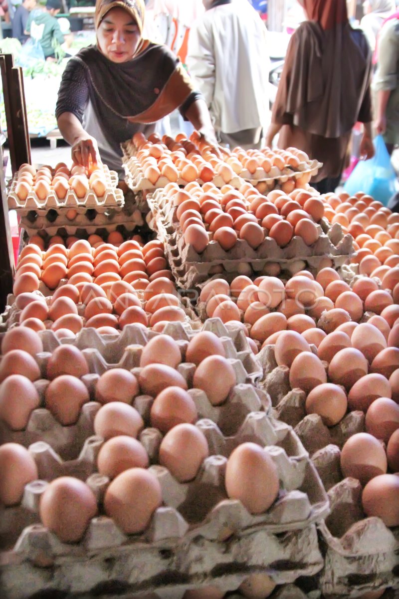 PERMINTAAN TELUR MENINGKAT | ANTARA Foto