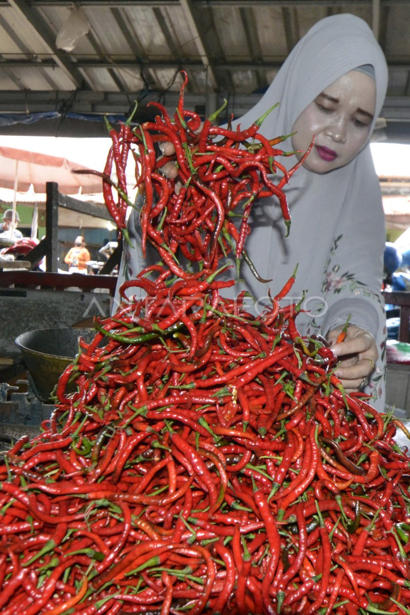 HARGA CABAI RAWIT NAIK | ANTARA Foto