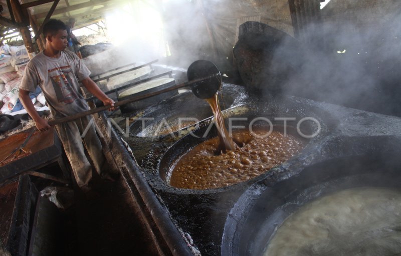 PRODUKSI GULA MERAH TEBU TURUN | ANTARA Foto PRODUKSI GULA MERAH TEBU TURUN | ANTARA Foto