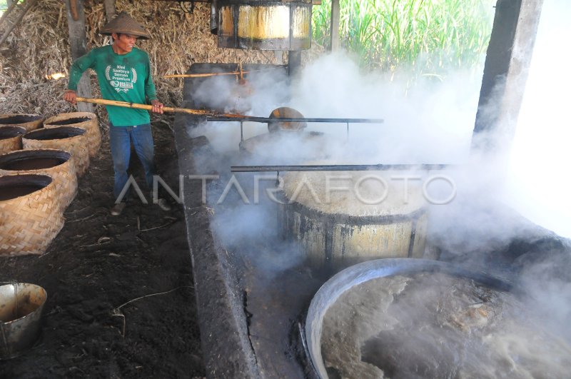 PRODUKSI GULA MERAH DI KUDUS | ANTARA Foto PRODUKSI GULA MERAH DI KUDUS | ANTARA Foto
