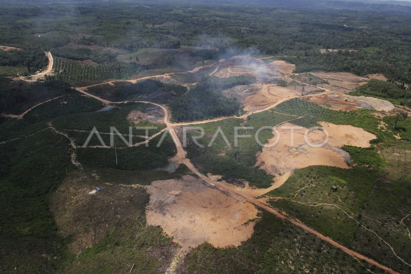 ANCAM TAMAN NASIONAL | ANTARA Foto ANCAM TAMAN NASIONAL | ANTARA Foto