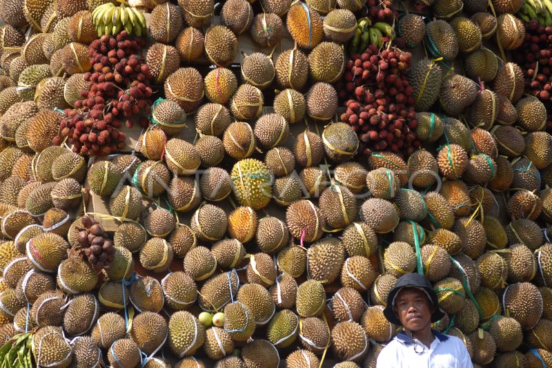 KENDUREN DURIAN WONOSALAM | ANTARA Foto