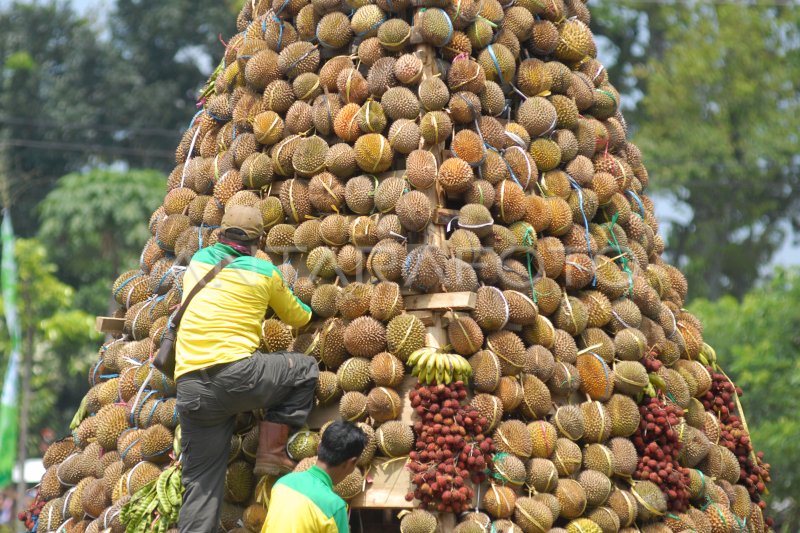 KENDUREN DURIAN WONOSALAM | ANTARA Foto